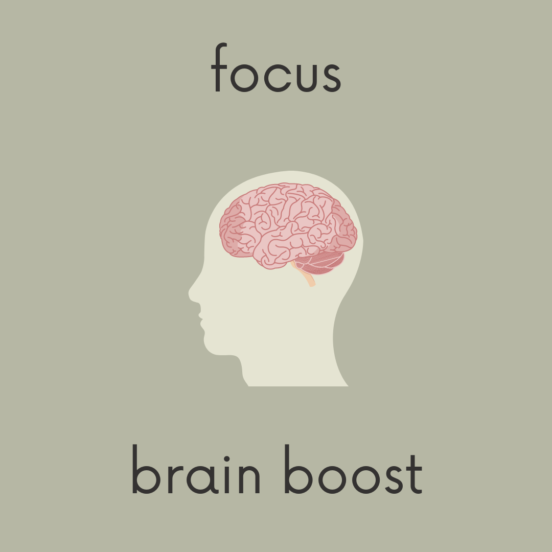 Mushrooms for focus & brain boost – lllhealth